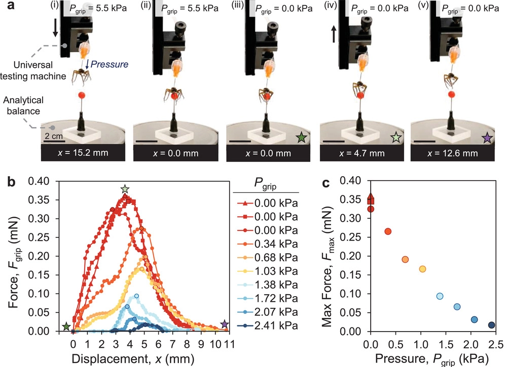 Necrobotics: Biotic Materials as Ready-to-Use Actuators